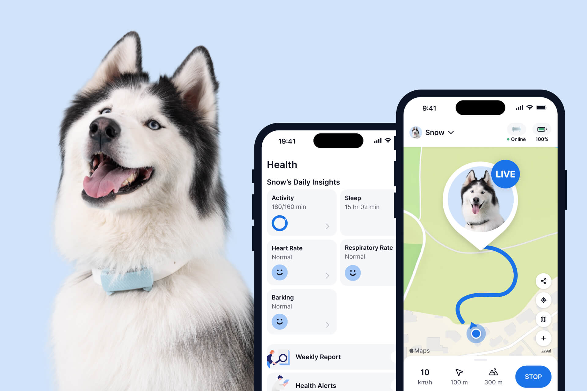 Fitbit for Dogs: How To Choose The Best Dog Fitness Tracker - Tractive