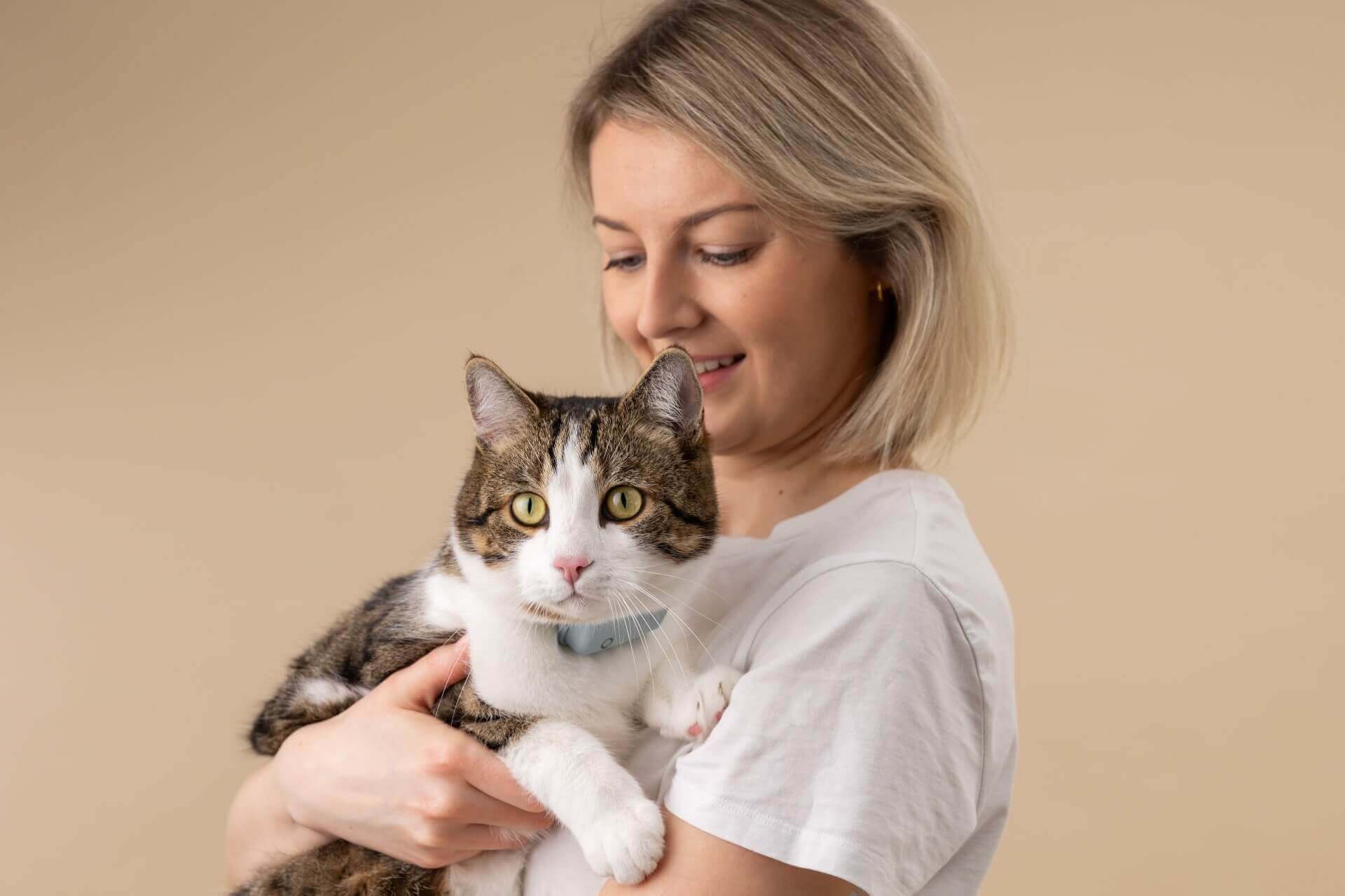 Understanding Cat Heart Rate: A Guide for Pet Parents - Tractive