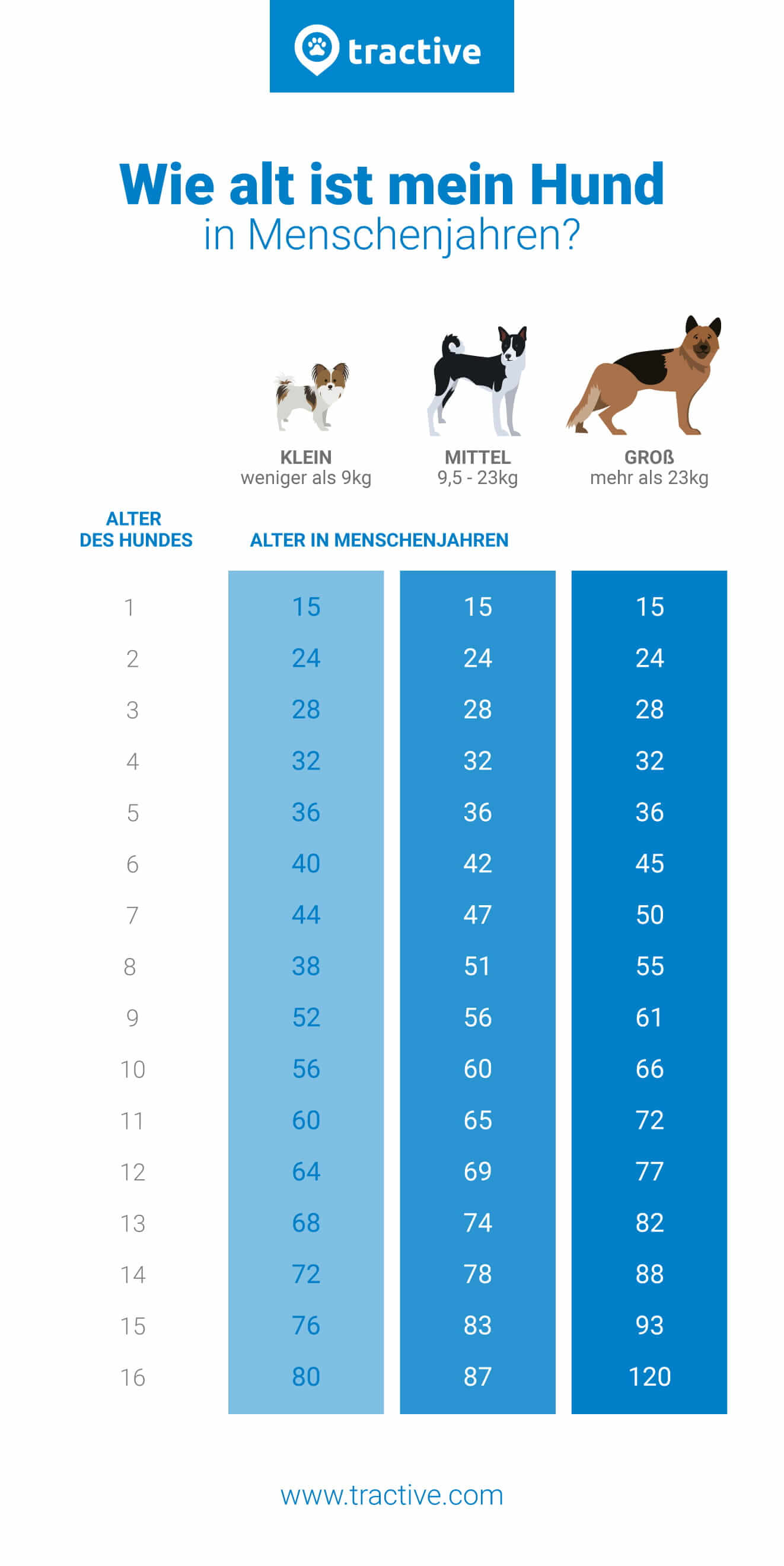 Nur So Berechnest Du Hundejahre In Menschenjahre Richtig Tractive Blog
