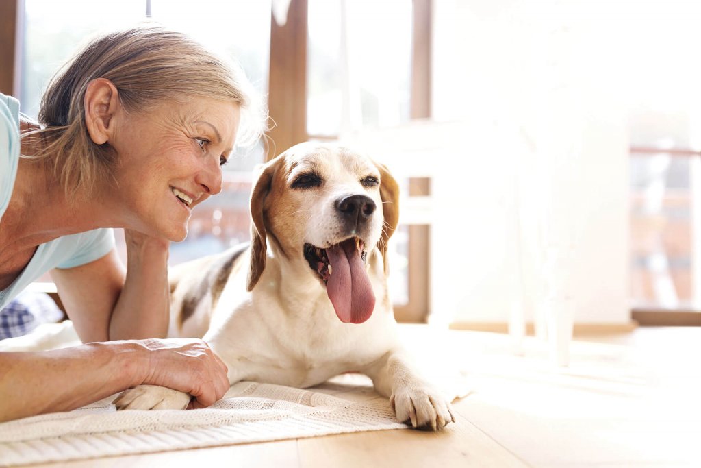 Working Dogs: Their Roles, Breeds & More - Tractive