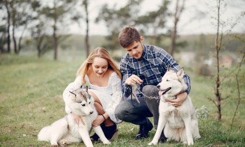 Benefits of Having a Dog: 10 Amazing Advantages - Tractive