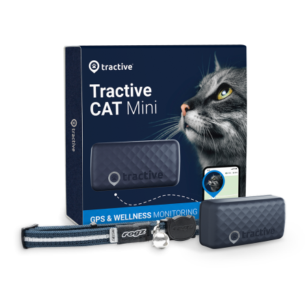 Cat Microchip: How To ID, Track, And Always Find Your Kitty! - Tractive