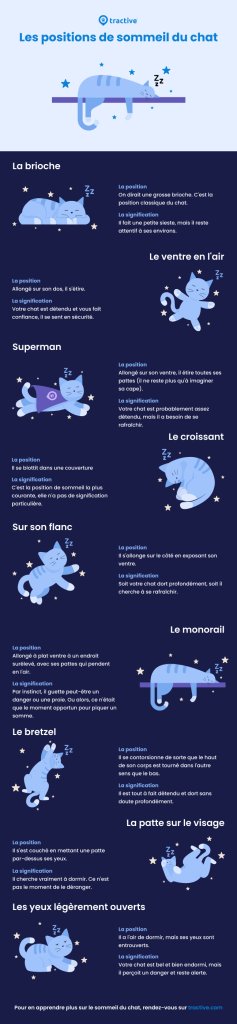 Positions de sommeil du chat et leur signification - Tractive