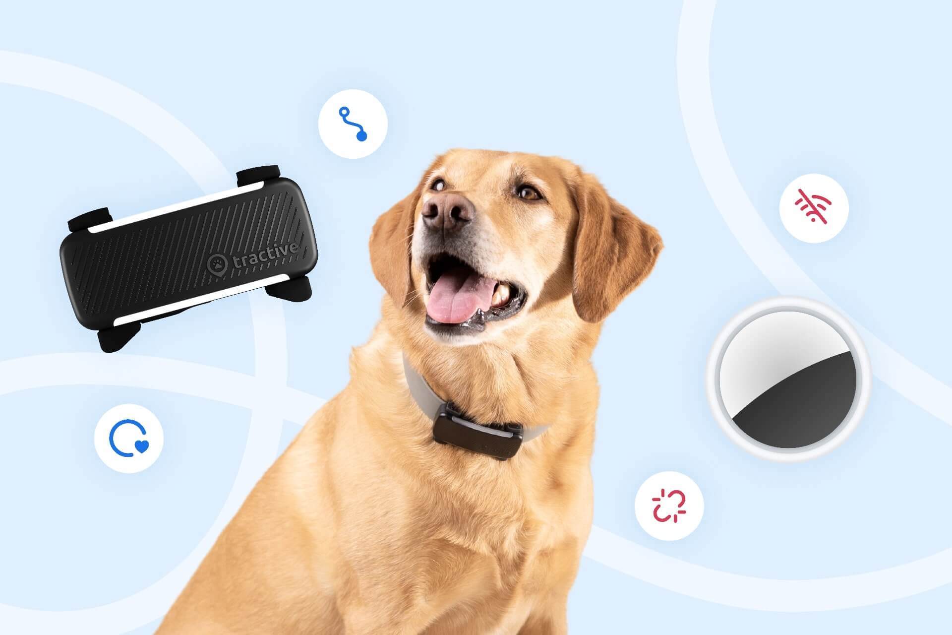 El uso de Apple AirTags para perros - Tractive