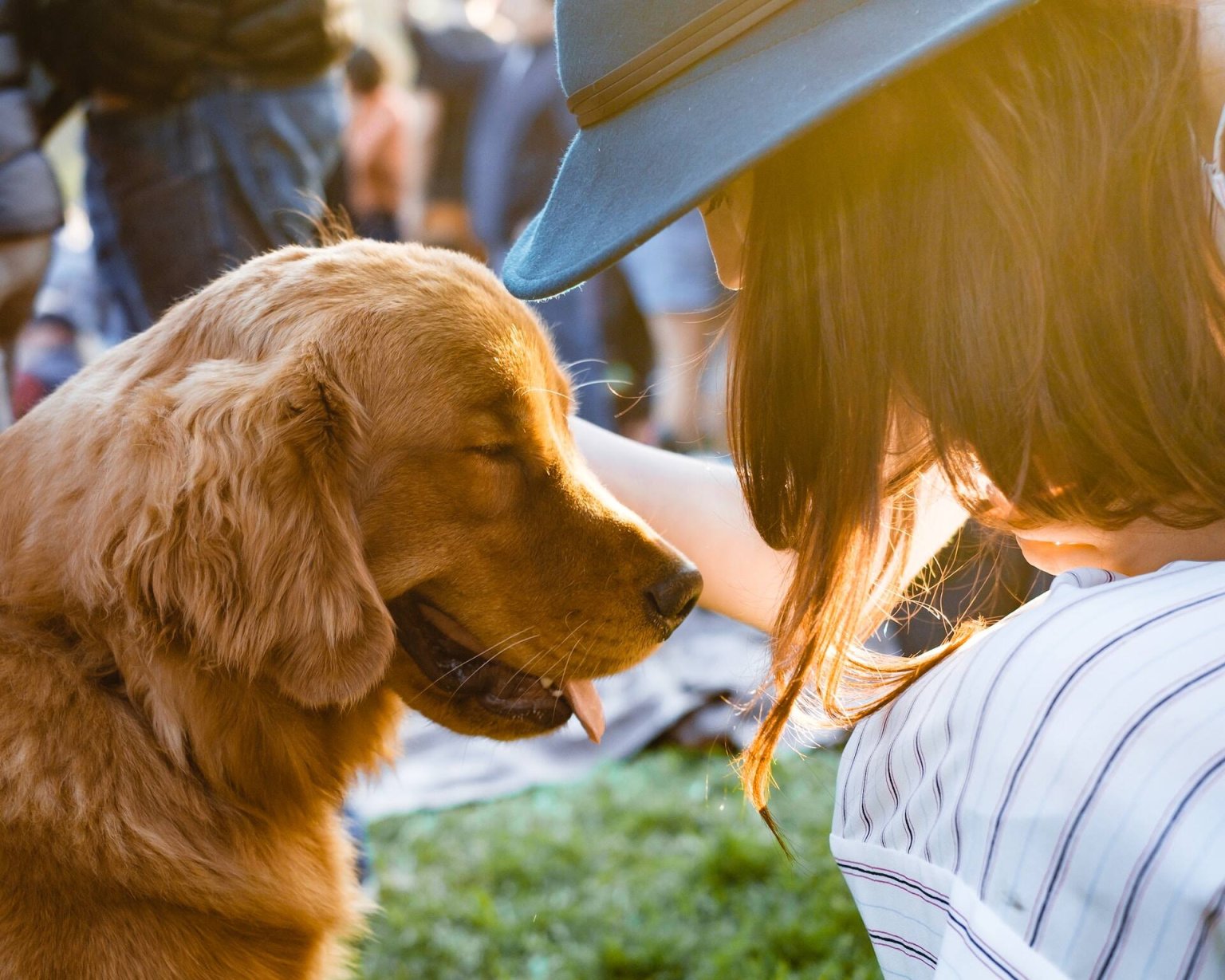 Therapy Dogs: Who They Are & What Do They Do - Tractive