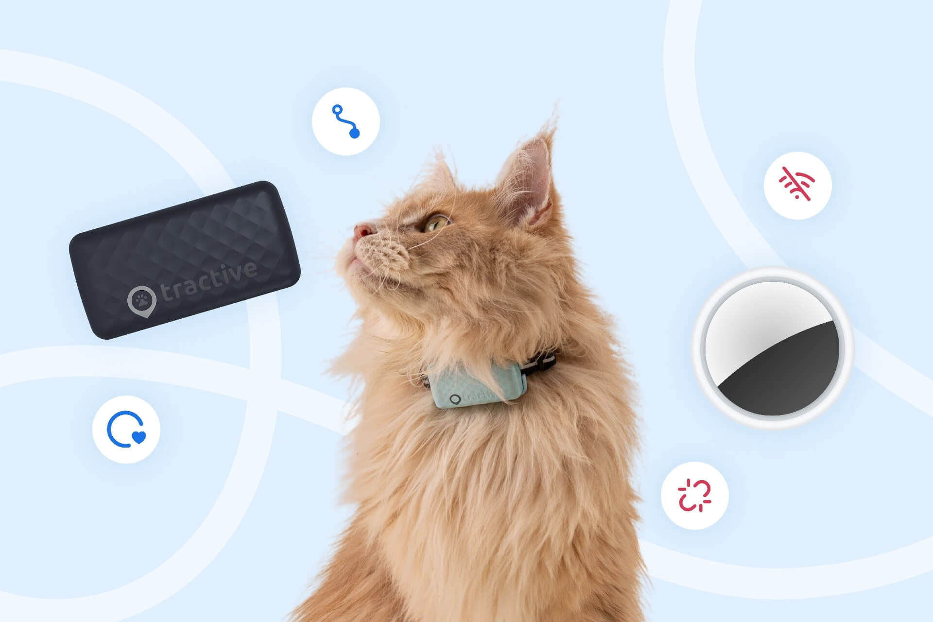 3 problemas de usar AirTag de Apple con gatos - Tractive