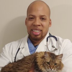 How To Handle Syncope in Dogs (Or Dog Fainting) - Tractive