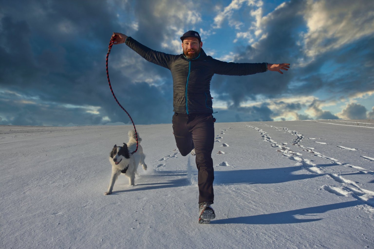 10 Most Important Tips for Running with Dogs - Tractive