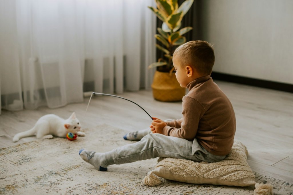 Cat territory size & range - How far does my cat really go? - Tractive