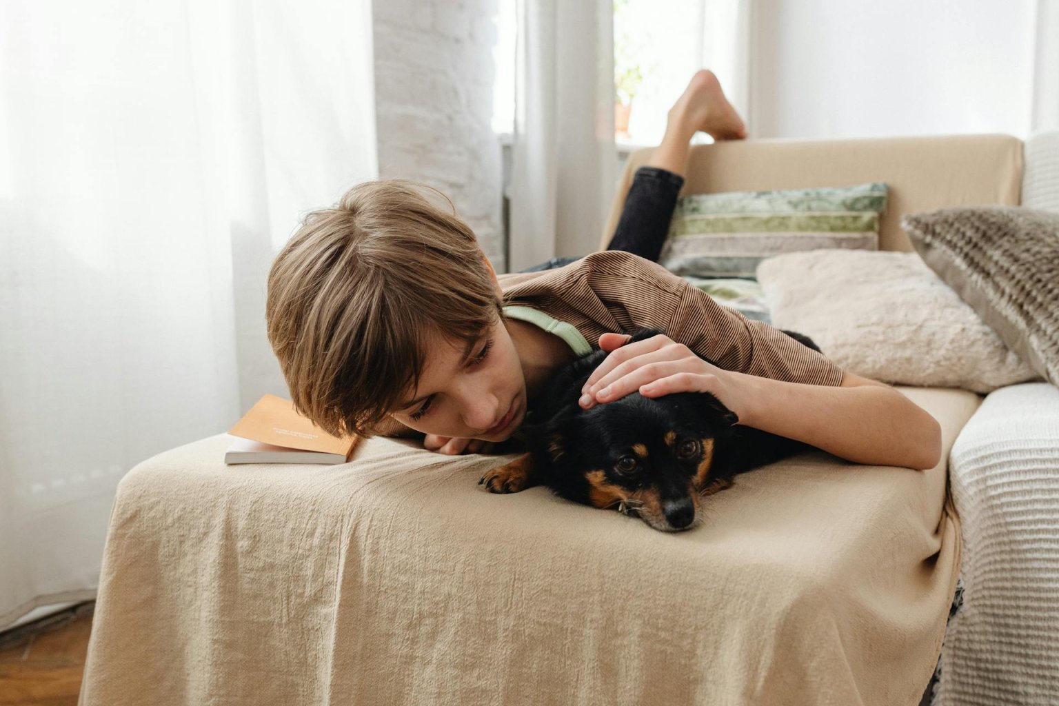 Dog Twitching In Sleep? Why It Happens (And When To Worry) - Tractive