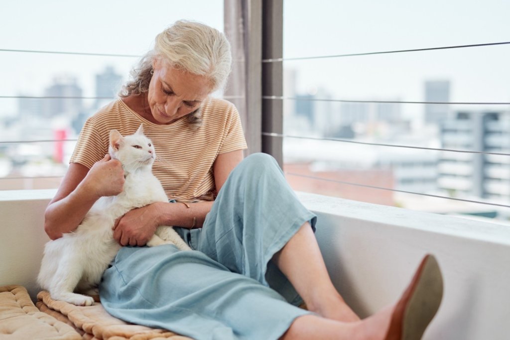 10 Tips To Create The Purr-Fect Cat Proof Balcony - Tractive