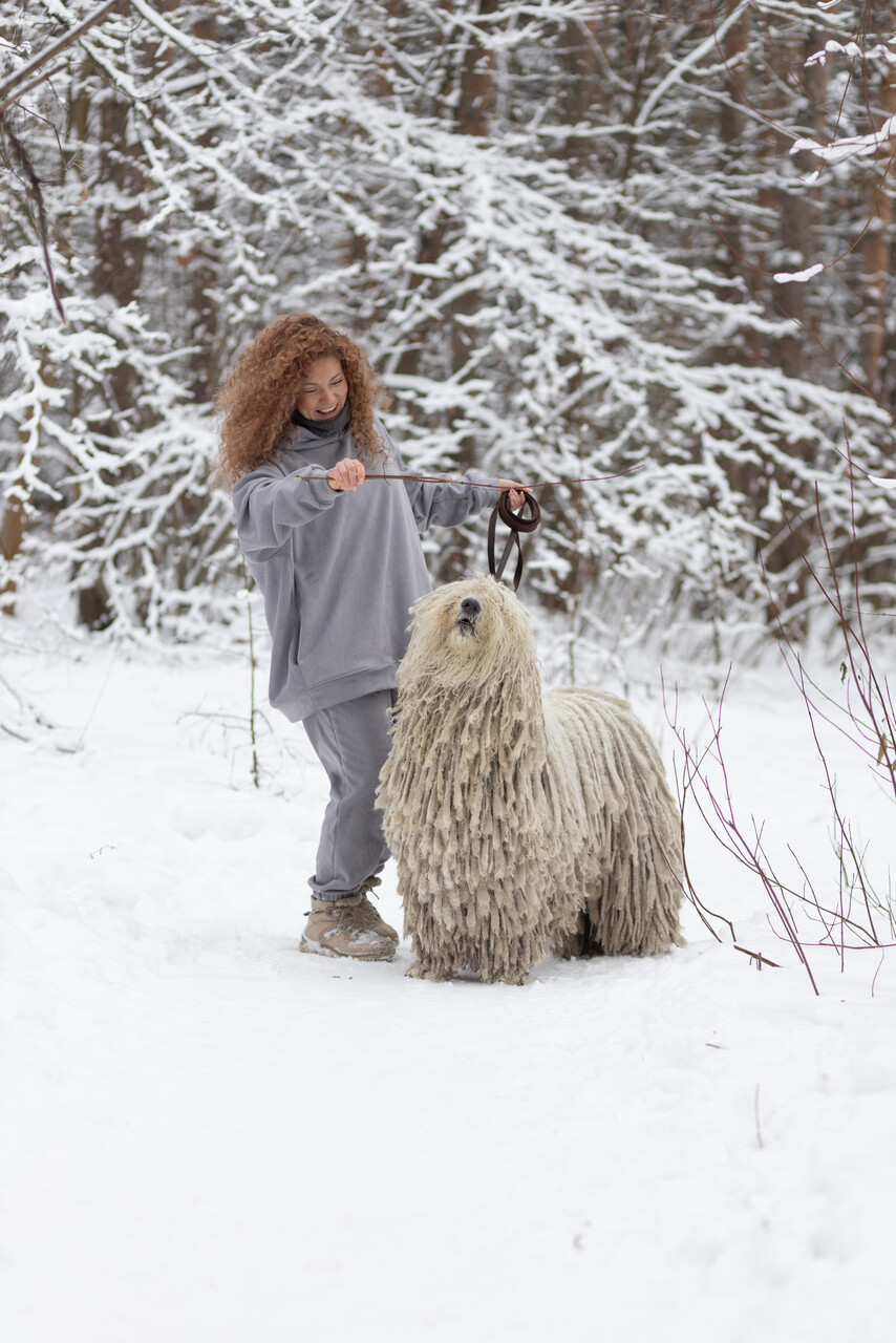 10 Herding Dog Breeds That Just Can't Sit Still!