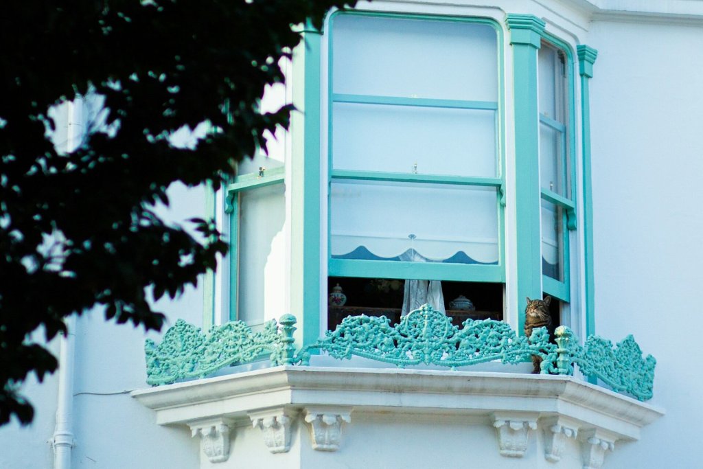 10 Tips To Create The Purr-Fect Cat Proof Balcony - Tractive