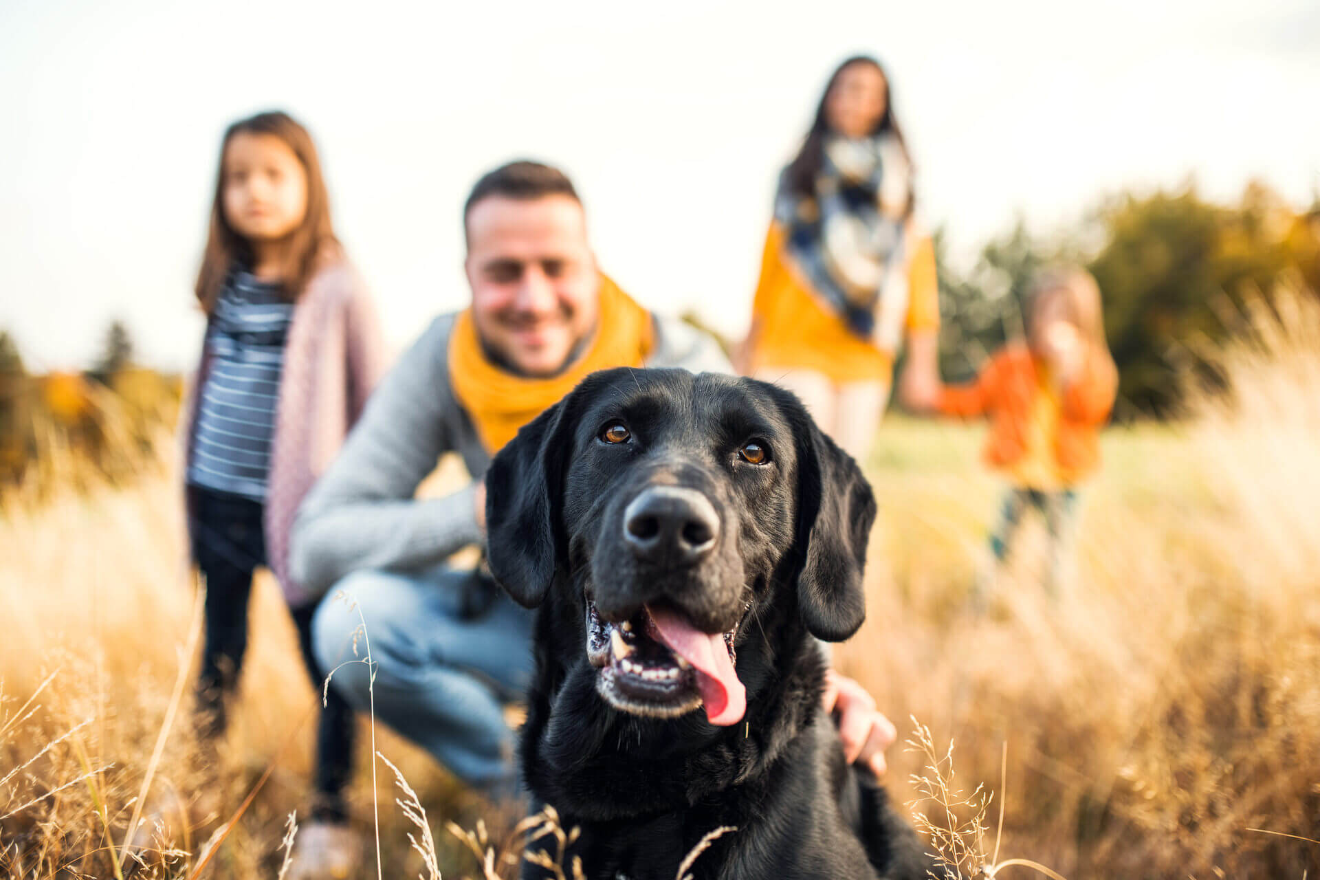 Home Is Where The Bark Is: 10 Of The Best Family Dogs - Tractive