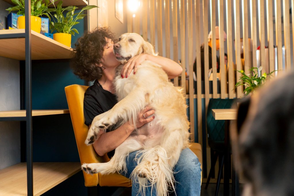 Signs Of Blockage In Dogs: How To Tell If Your Buddy's Backed Up