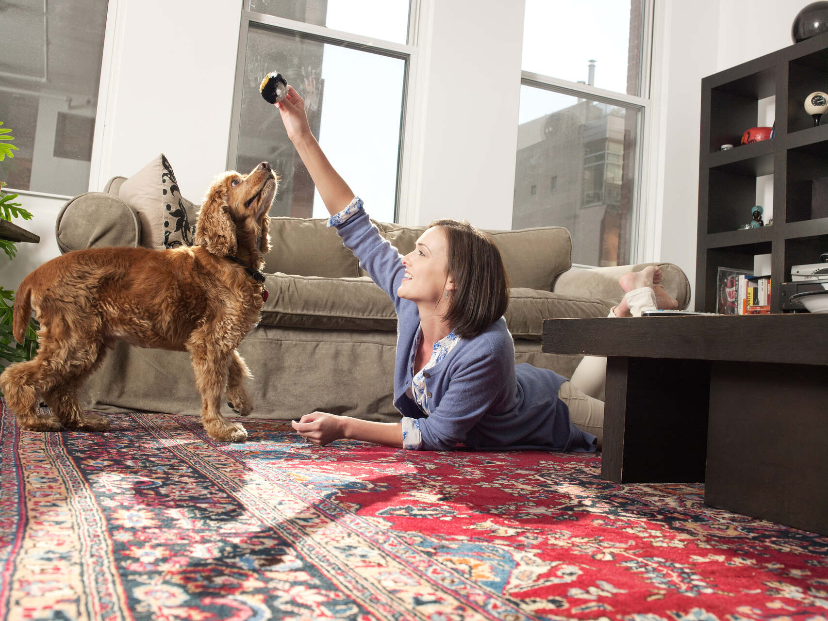 13 Fun Games For Dogs (For When You’re Cooped Up Indoors)