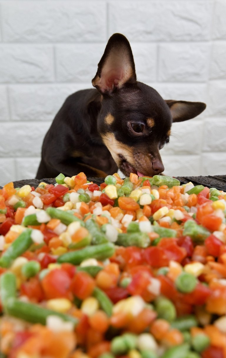 What Vegetables Are Good For Dogs?