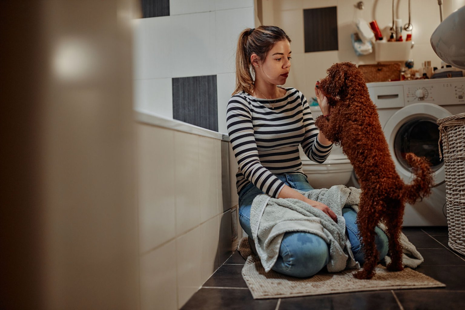 How To Nail Puppy Potty Training Like A Pro - Tractive
