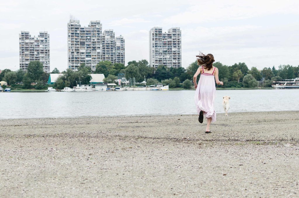 9 Steps To Find A Lost Dog & Bring Them Home In No Time