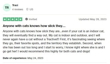 How To Find A Lost Cat: 15+ Tips To Retrieve A Missing Cat - Tractive