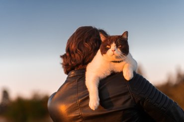 Can Cats Find Their Way Home? (Like, Really?) | Tractive