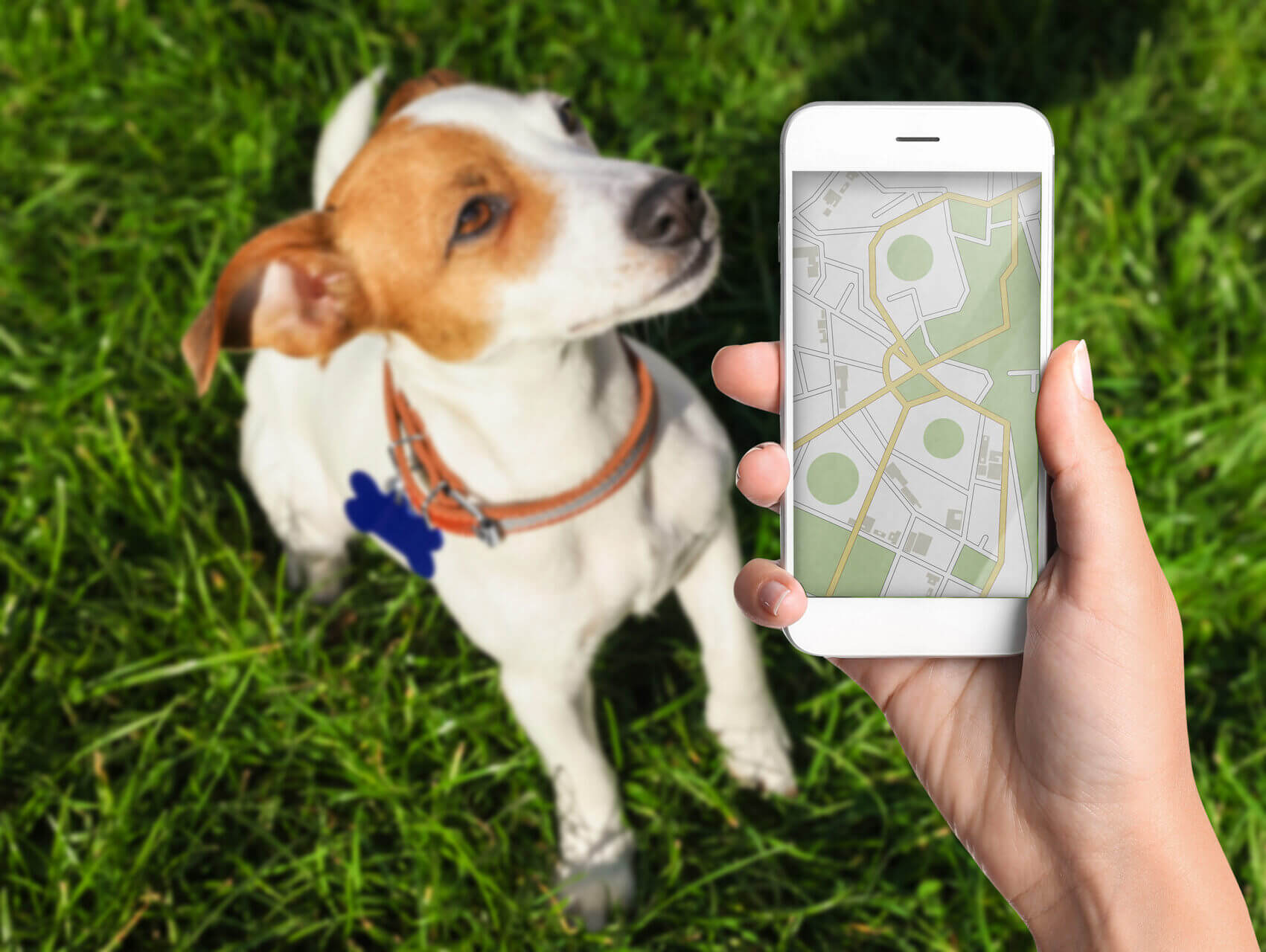 Why A QR Code Dog Tag Alone Can’t “Find” Your Dog - Tractive