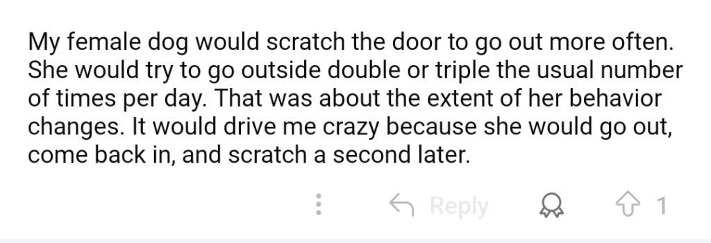 Dog Mating Behavior (Infographic) - Tractive