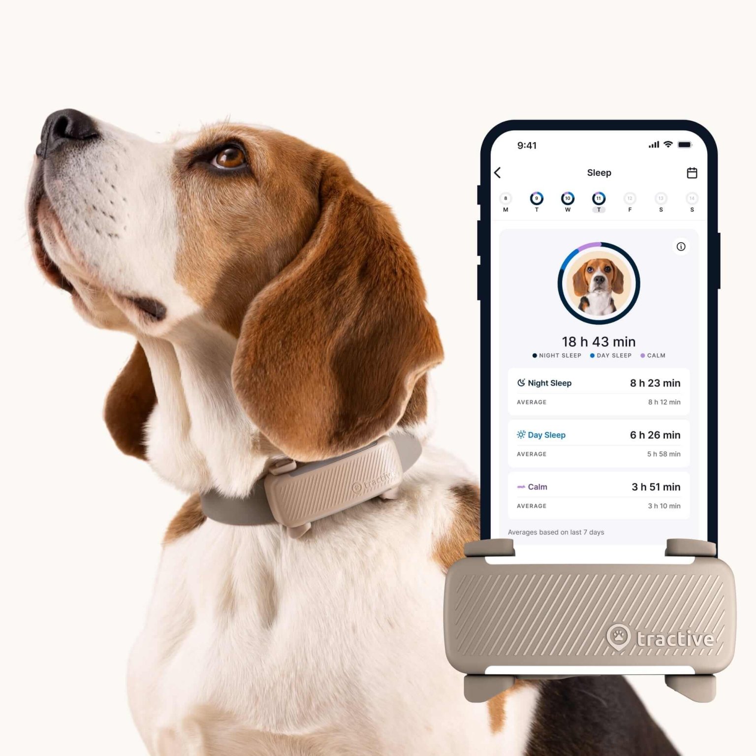 Why Do Dogs Sleep So Much? Dog Sleep, Explained - Tractive