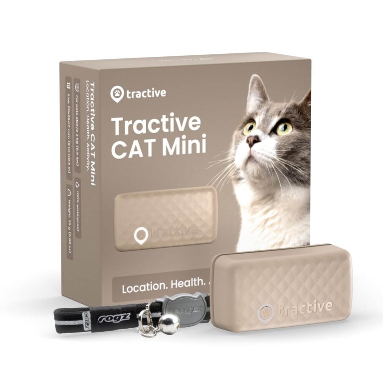 Lethargy In Cats: Why It Happens & How To Handle It - Tractive