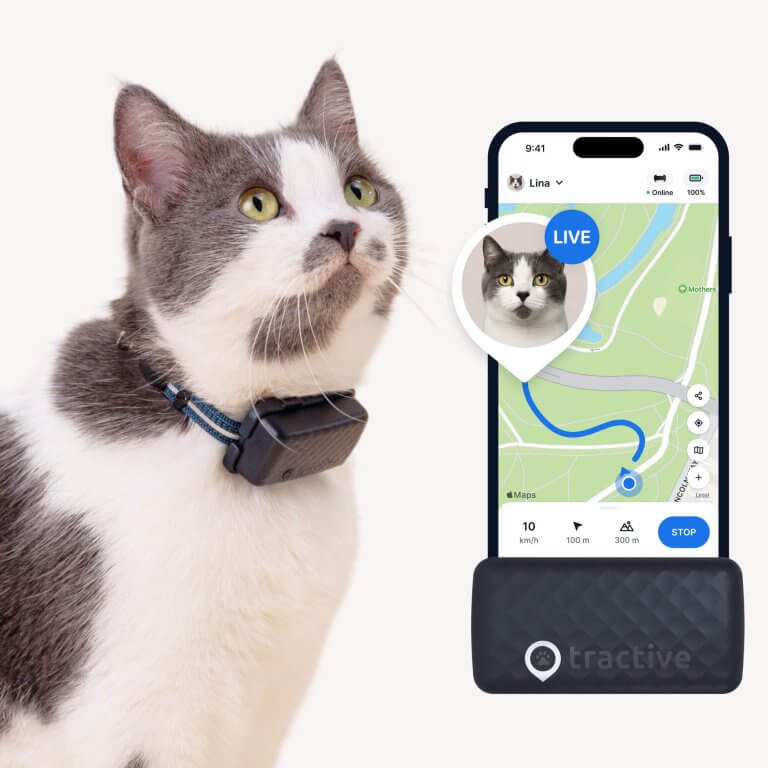 The Best Pet Tracker for Cats in 2025 - Tractive