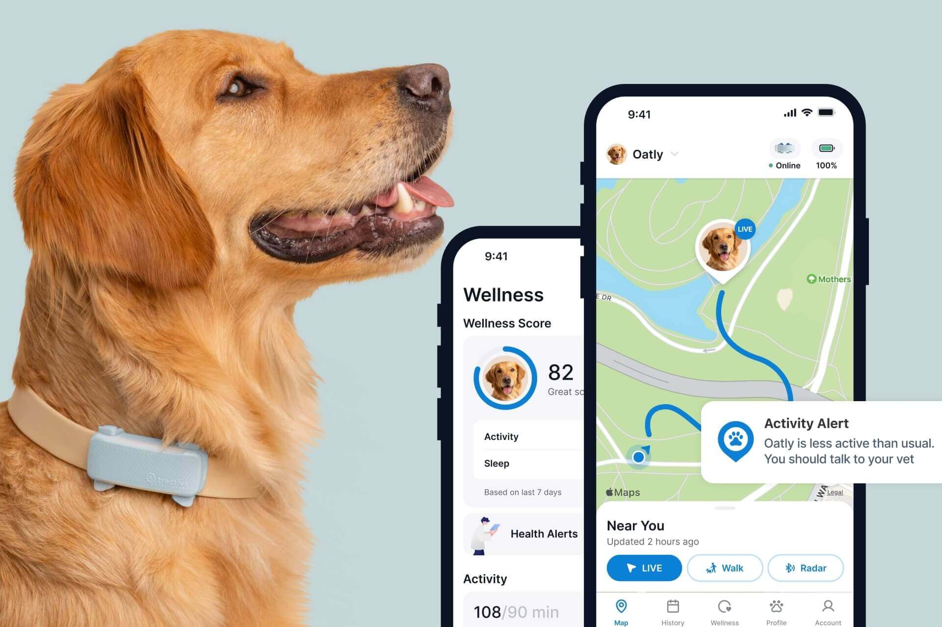 Fitbit for Dogs: How To Choose The Best Dog Fitness Tracker - Tractive