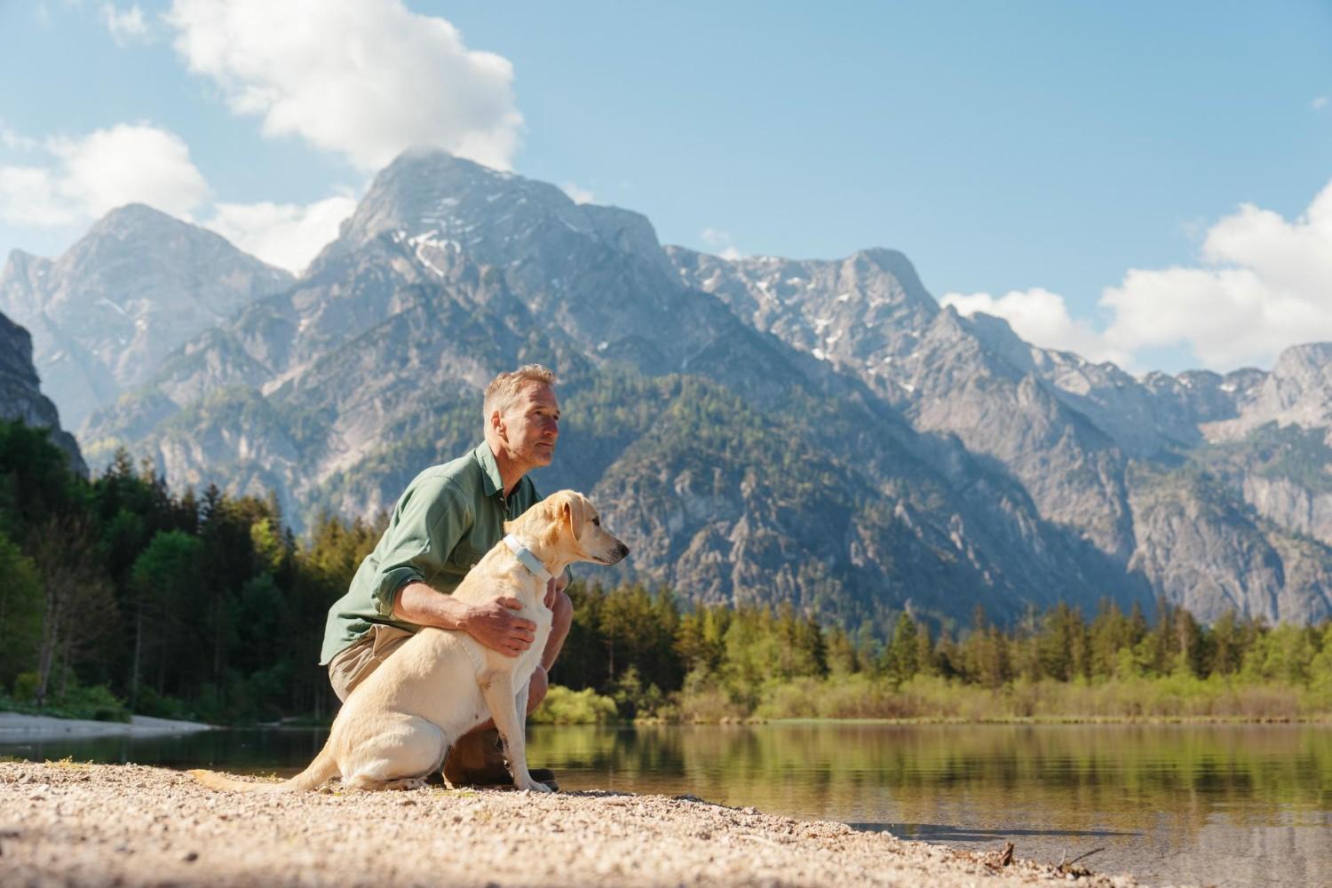 How To (Safely) Go Geocaching With A Dog - Tractive