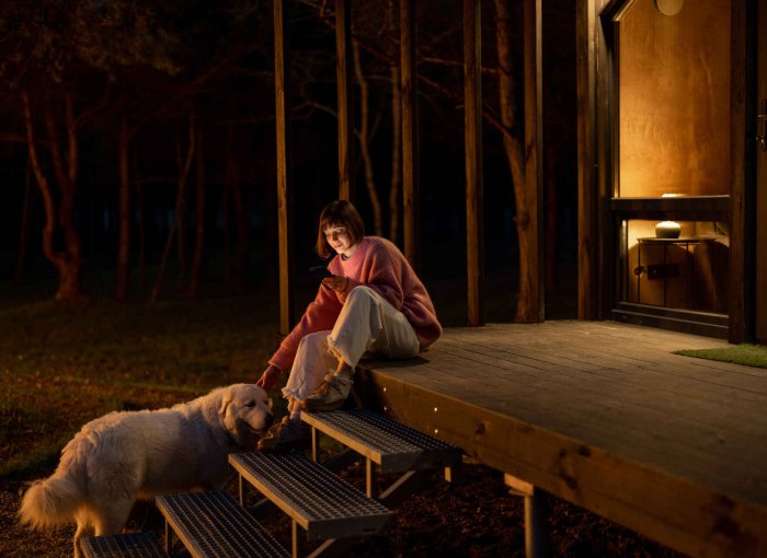 What Do Dogs See at Night? Dog Night Vision Explained - Tractive