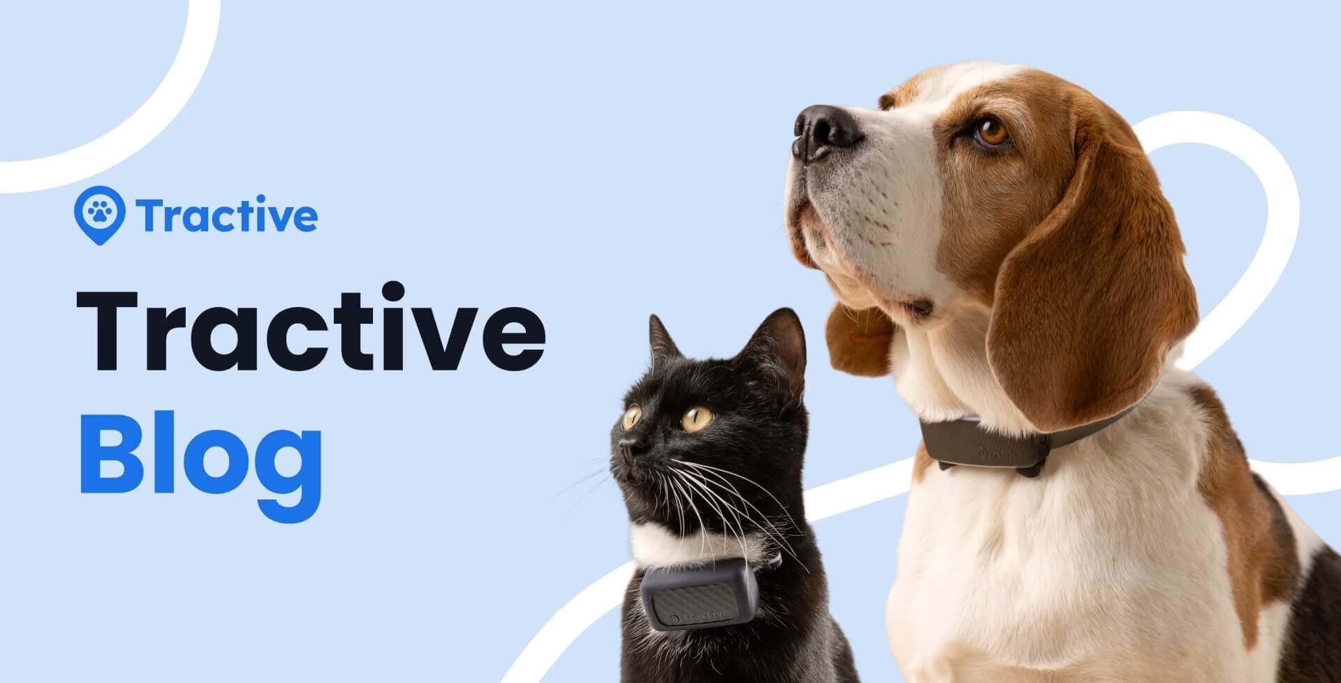 Tractive - The Cat and Dog Parent's Pet Care Guide