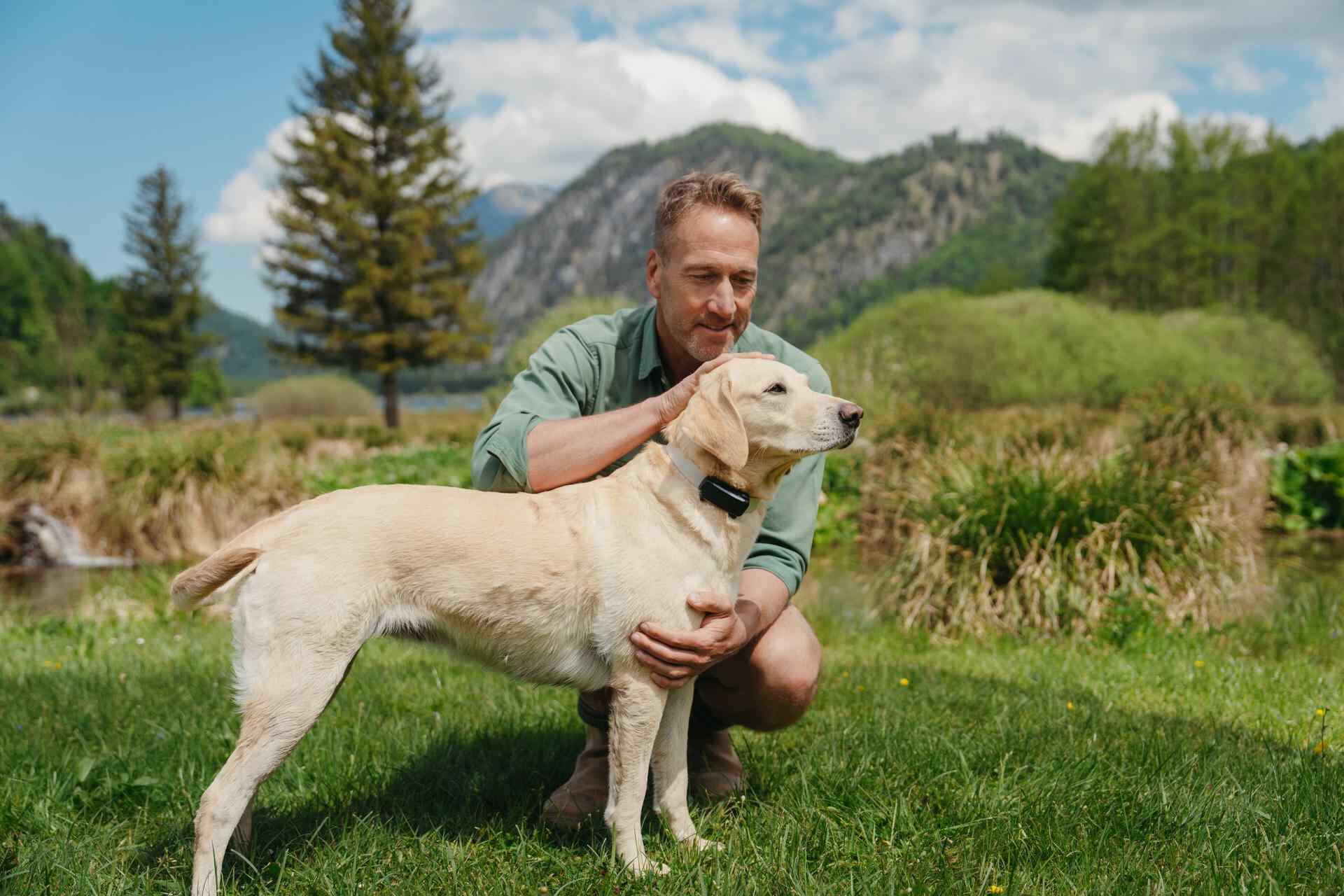 Discover Your Dog's Body Condition Score & BMI | Tractive