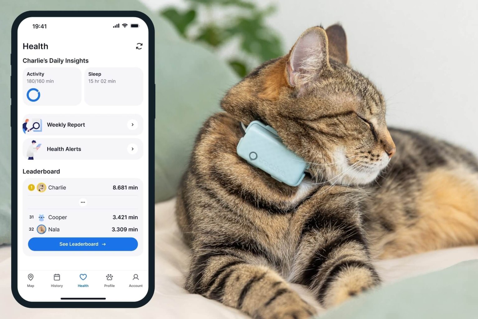 The Best Pet Tracker for Cats in 2025 - Tractive
