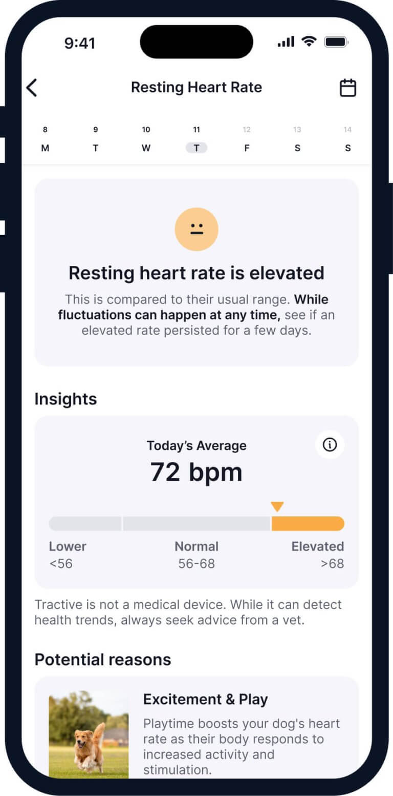 Why Dog Heart Rate Matters - Tractive