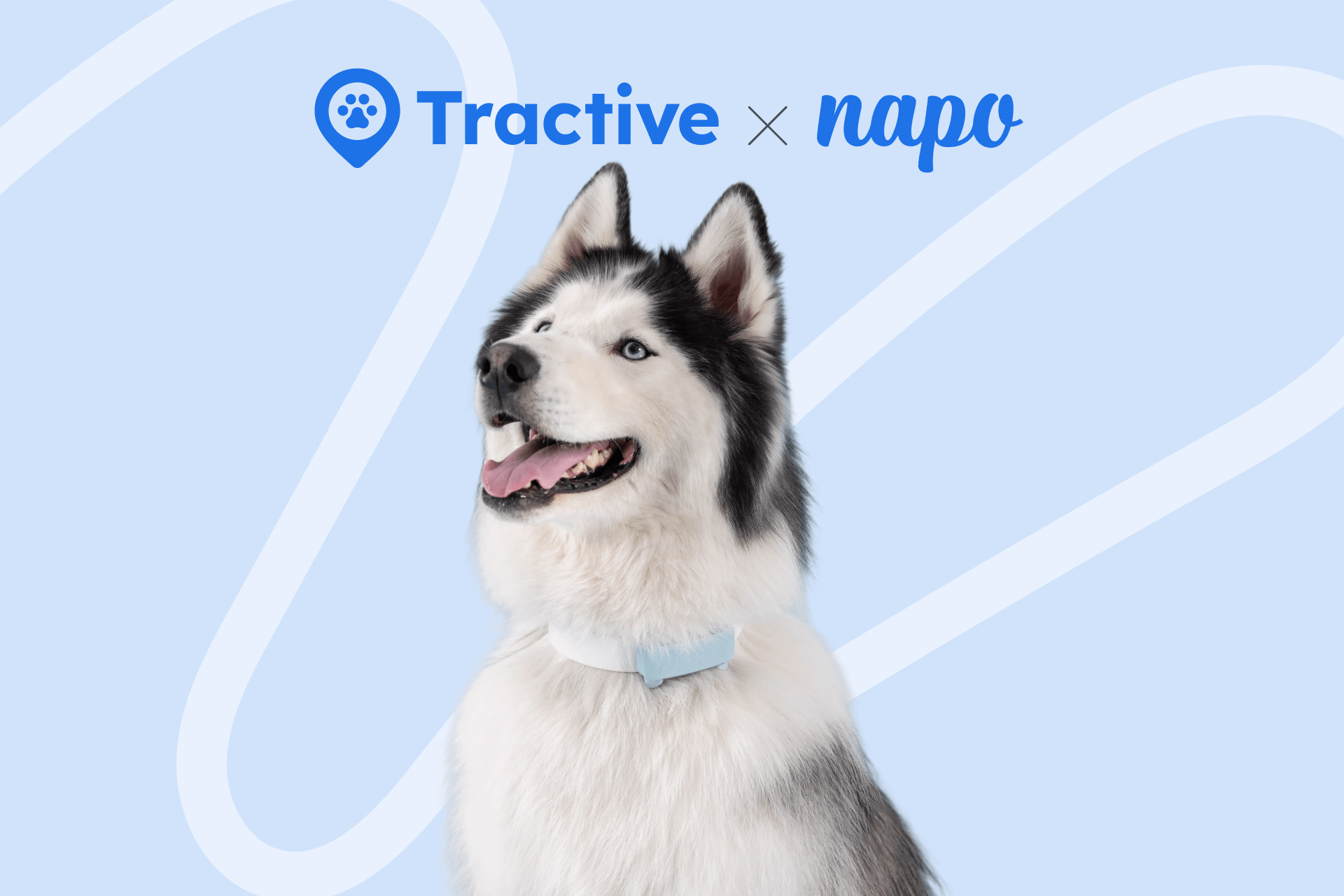 Tractive and Napo Pet Insurance Announce Collaboration - Tractive