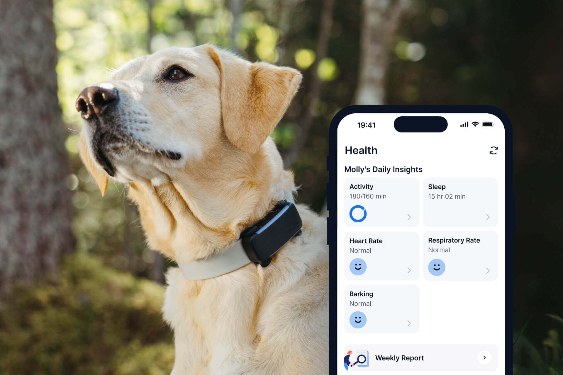 Can a Dog Tracker Detect Early Signs of Illness? - Tractive