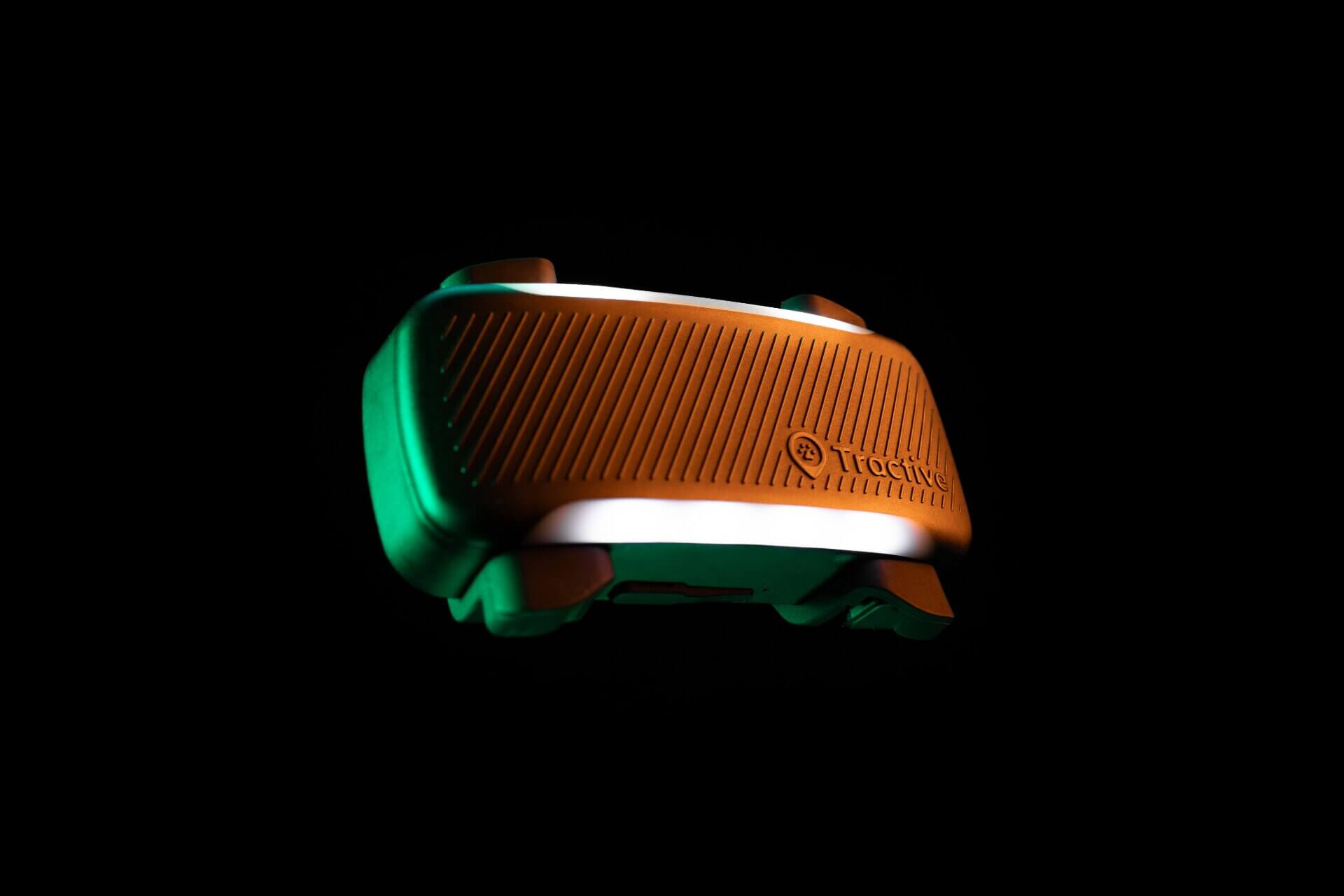 Led Dog Collar / Led Cat Collar: Nighttime Visibility with Tractive ...