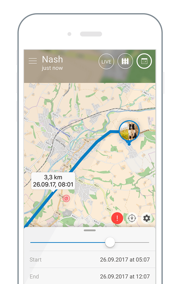 Tractive GPS 3G Pet Tracker | Tractive